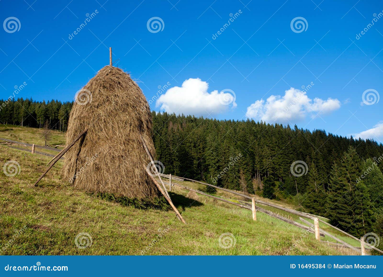 Straw reek stock photo. Image of four, outdoor, feed - 16495384