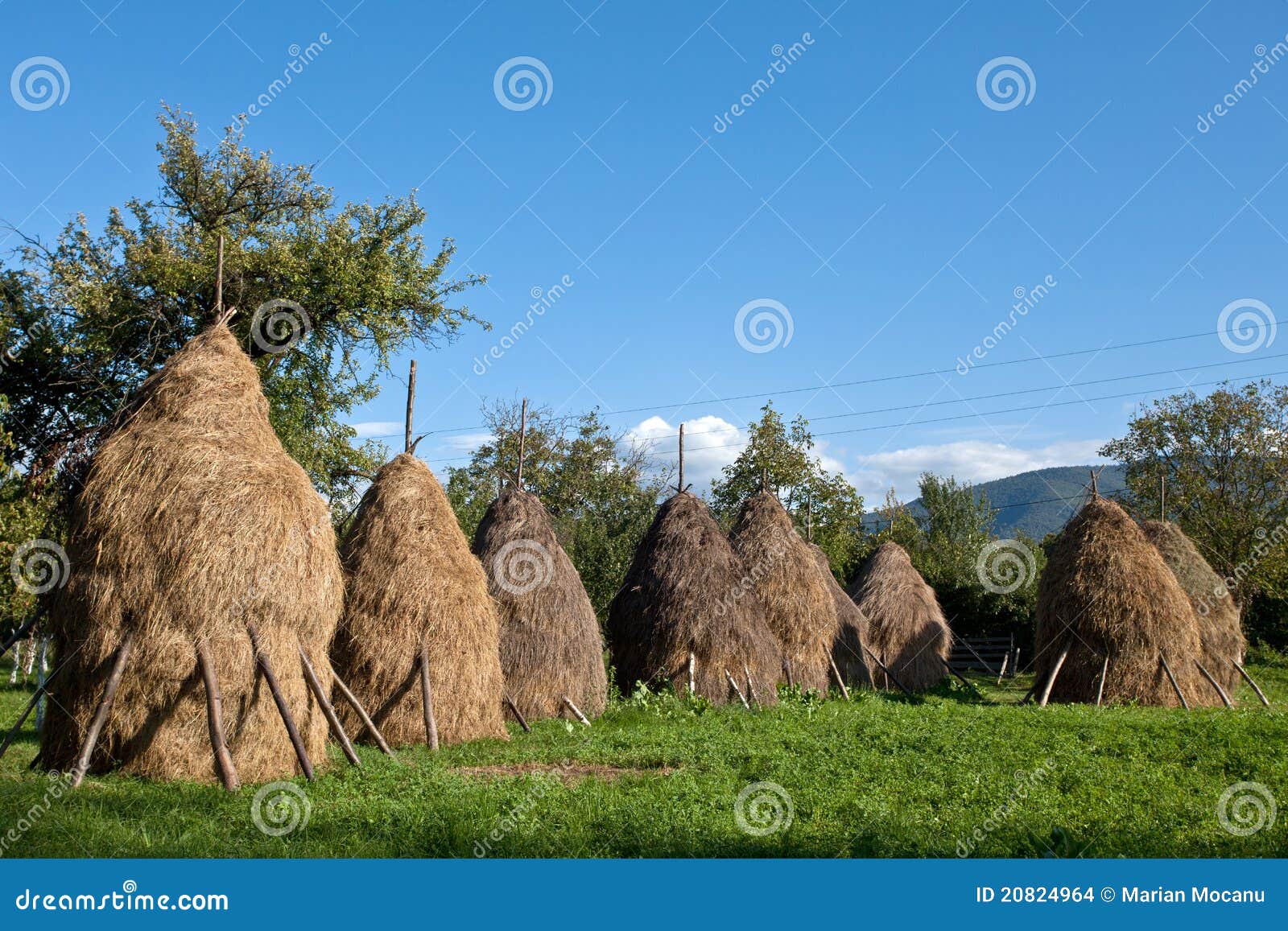 Straw reek stock photo. Image of nature, gold, handmade - 20824964