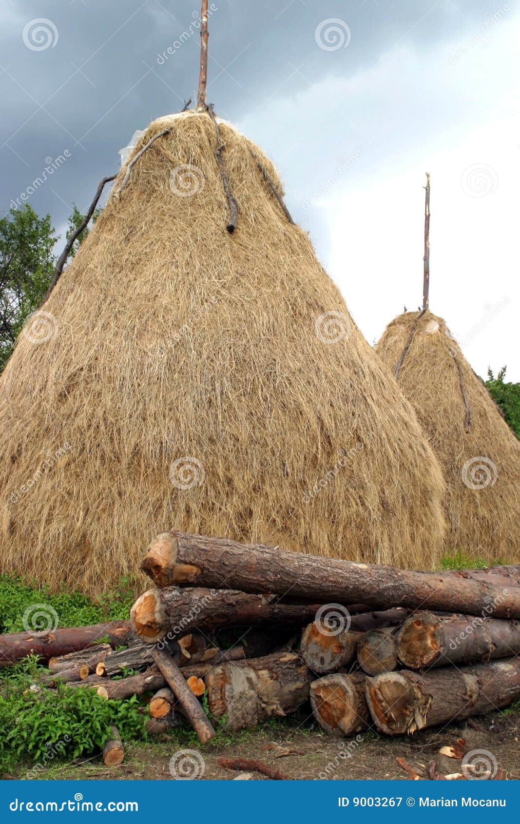 Straw reek stock image. Image of natural, grass, farming - 9003267
