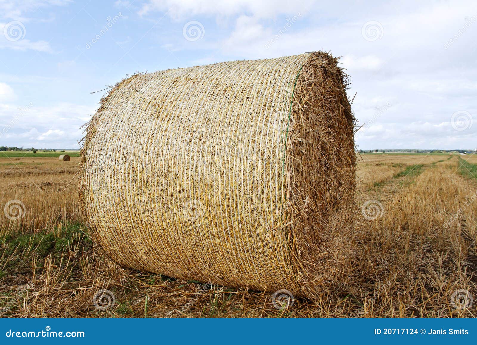 Straw roll. stock photo. Image of land, farm, natural - 20717124