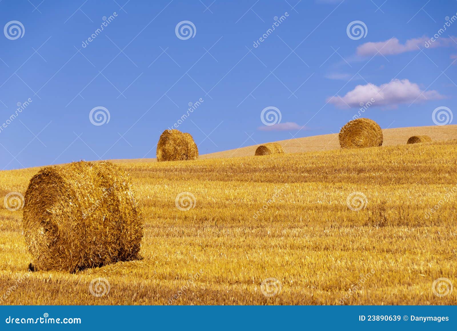 Straw roll stock image. Image of landscape, hill, outdoor - 23890639