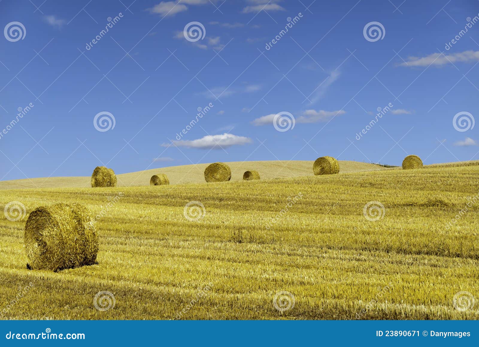 Straw roll stock image. Image of straw, rural, agriculture - 23890671
