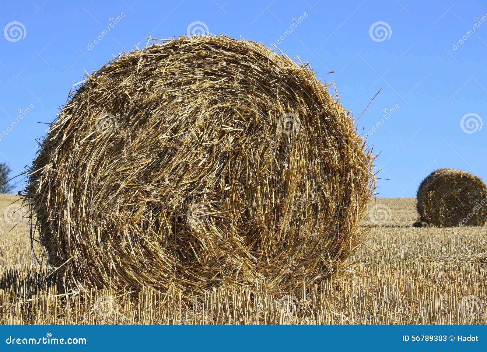 Straw roll stock image. Image of harvest, grain, round - 56789303