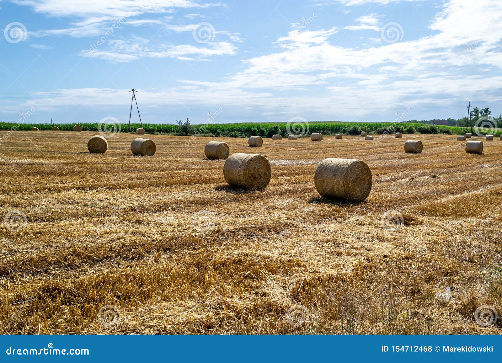 Straw Rollers on a Mowed Field, Right after Harvest. Stock Photo ...