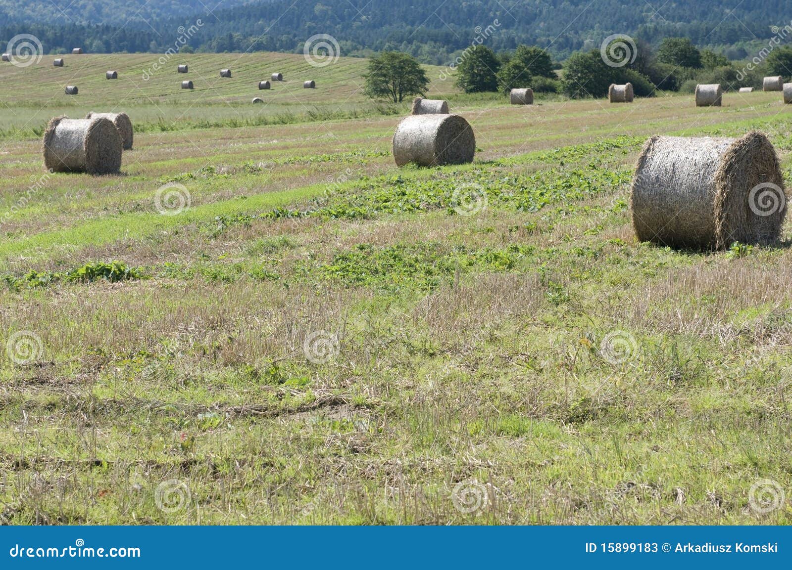 Straw rolls stock image. Image of bale, rural, agriculture - 15899183