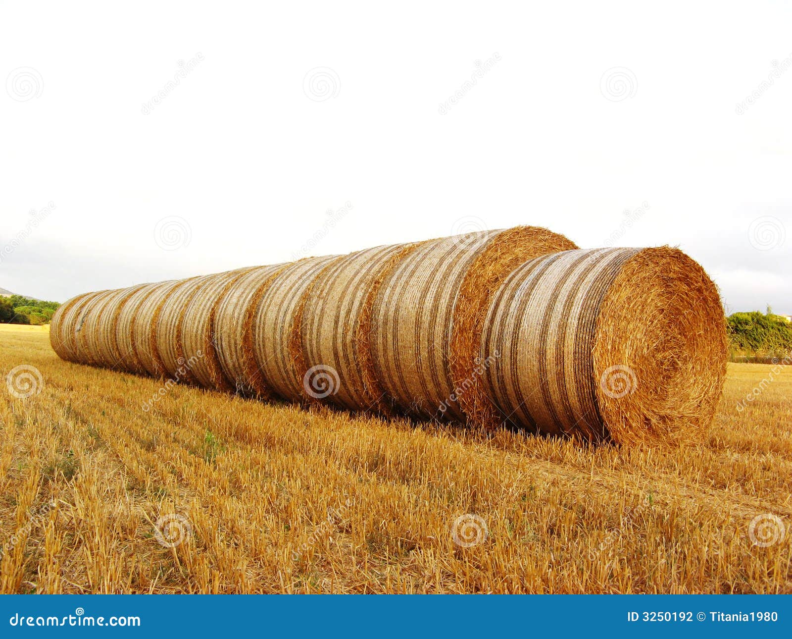 Straw rolls stock photo. Image of pile, country, round - 3250192