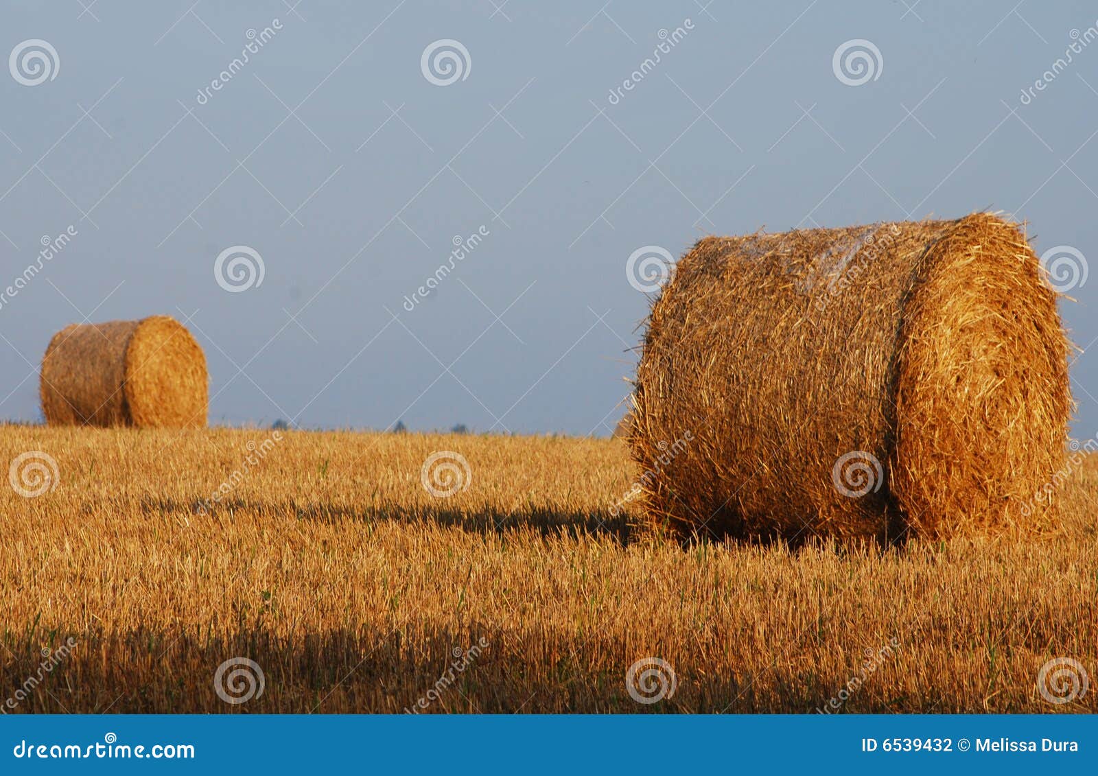 Straw Rolls stock photo. Image of country, farms, straw - 6539432