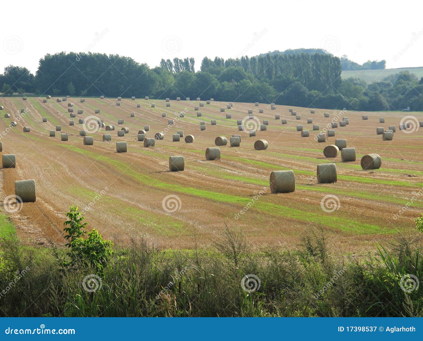 Straw Rolls Ind the Landscape Stock Image - Image of harvest ...