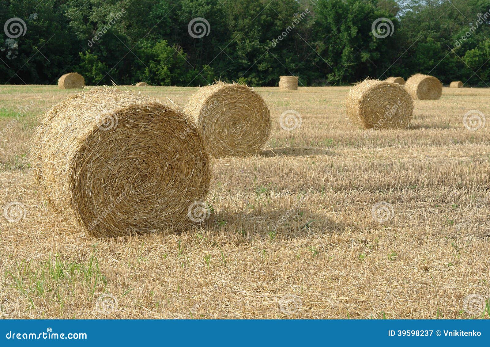 Straw rolls stock image. Image of material, grass, agricultural - 39598237