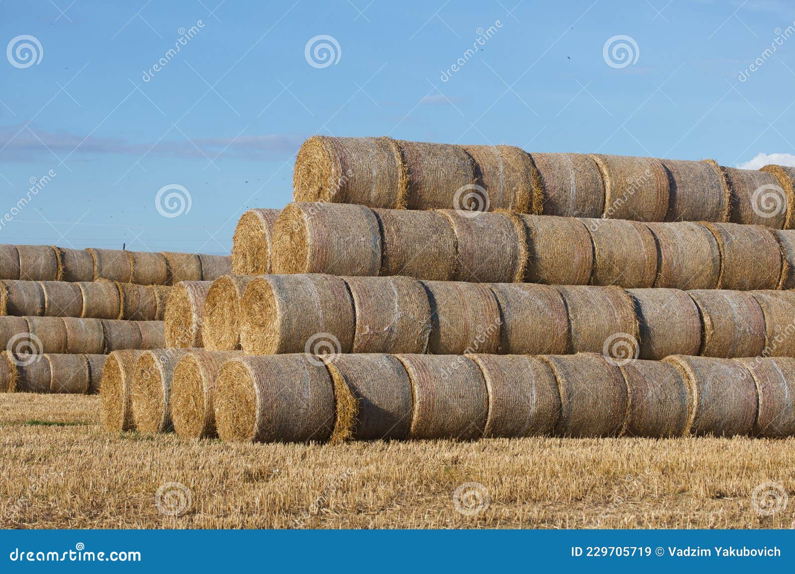 Straw Pyramid Stock Photo | CartoonDealer.com #1035660