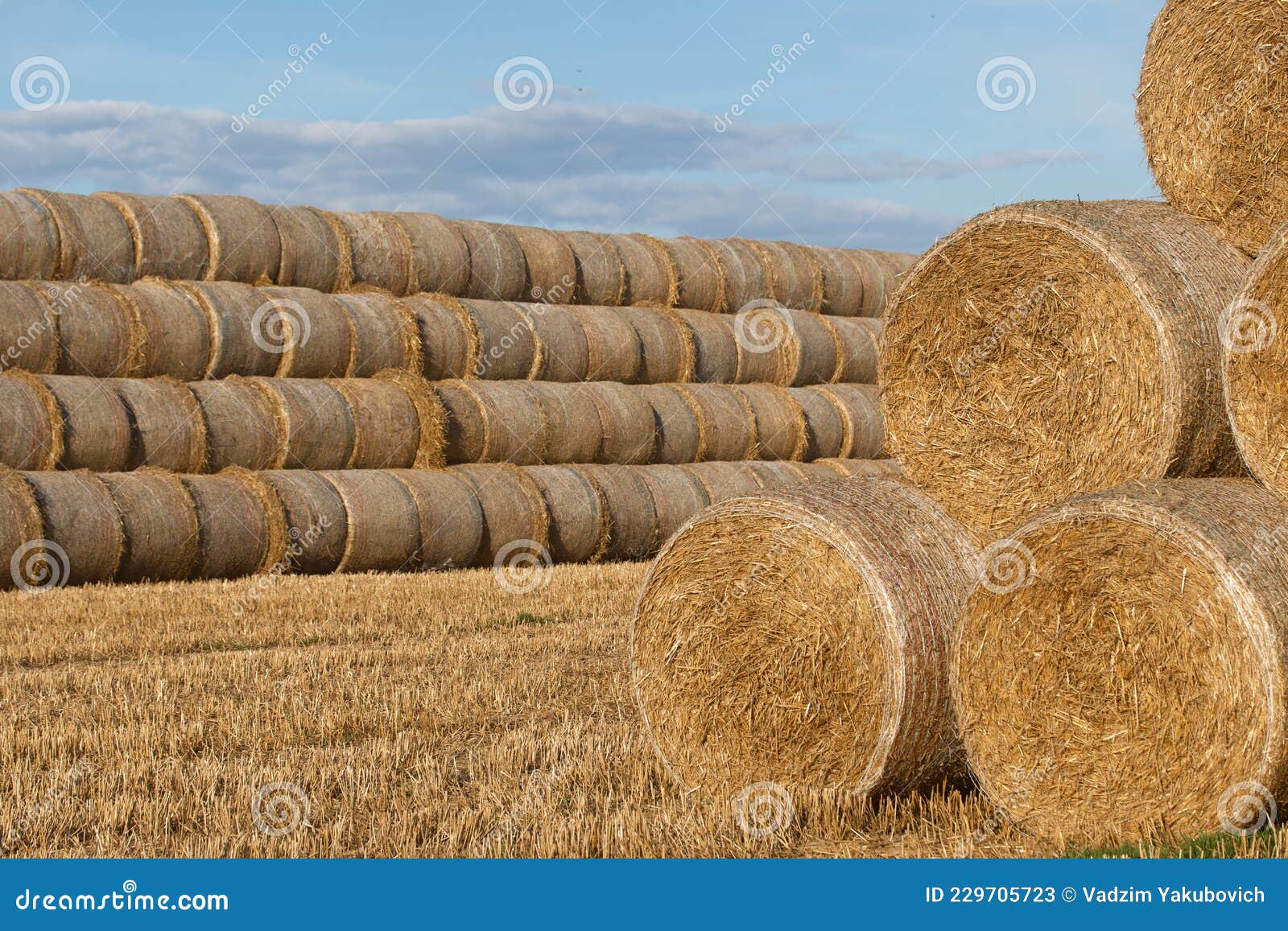 Straw Rolls, Stacked in a Pyramid. Close-up Shot Stock Image - Image of ...