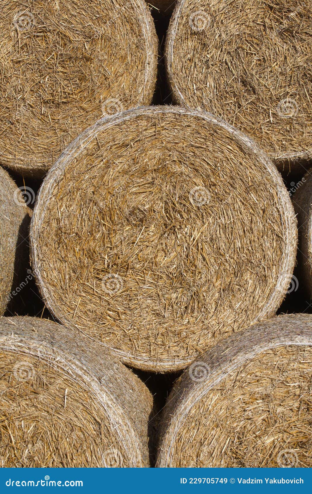 Straw Pyramid Stock Photo | CartoonDealer.com #1035660