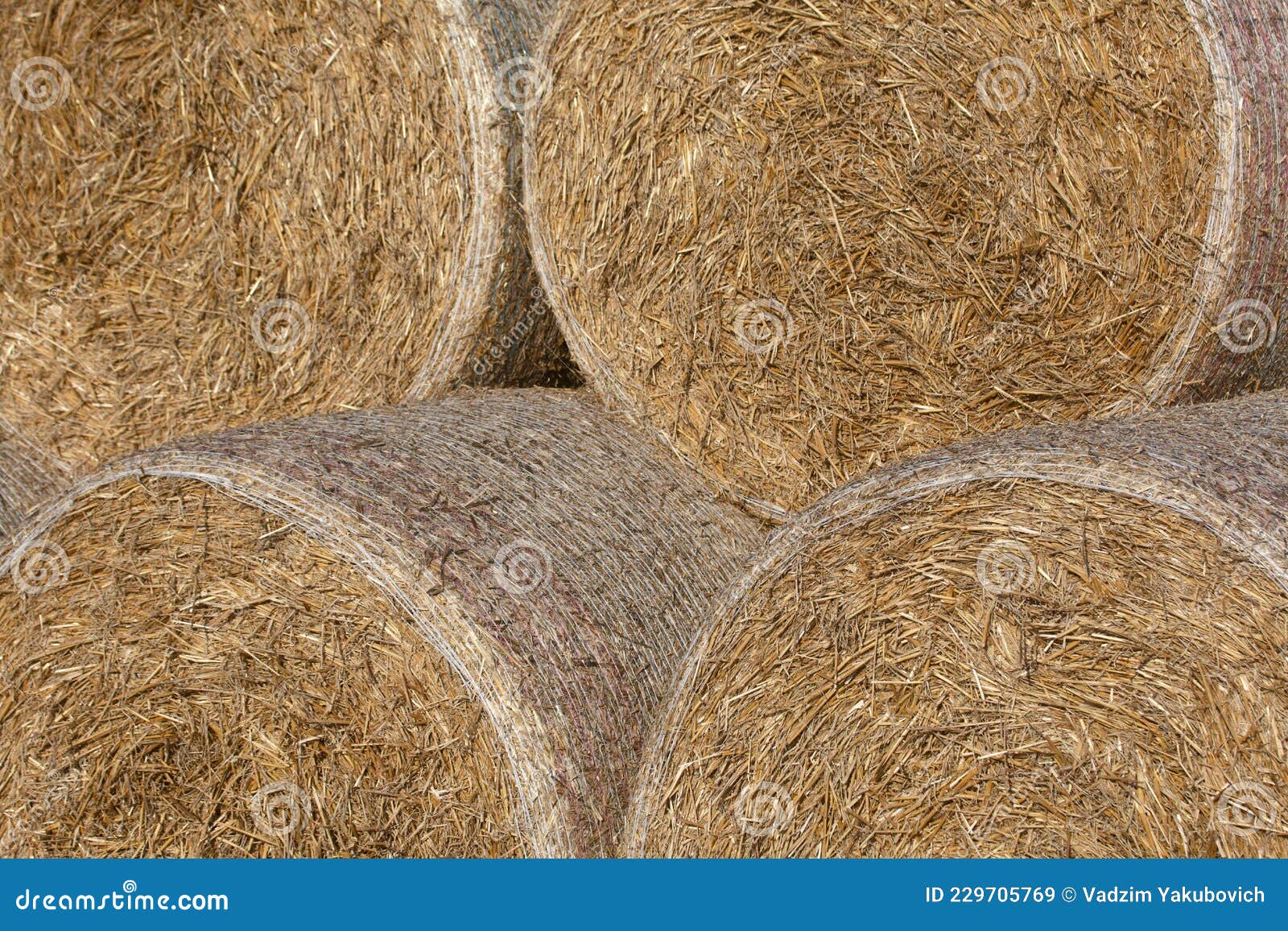 Straw Rolls, Stacked in a Pyramid. Close-up Shot Stock Image - Image of ...