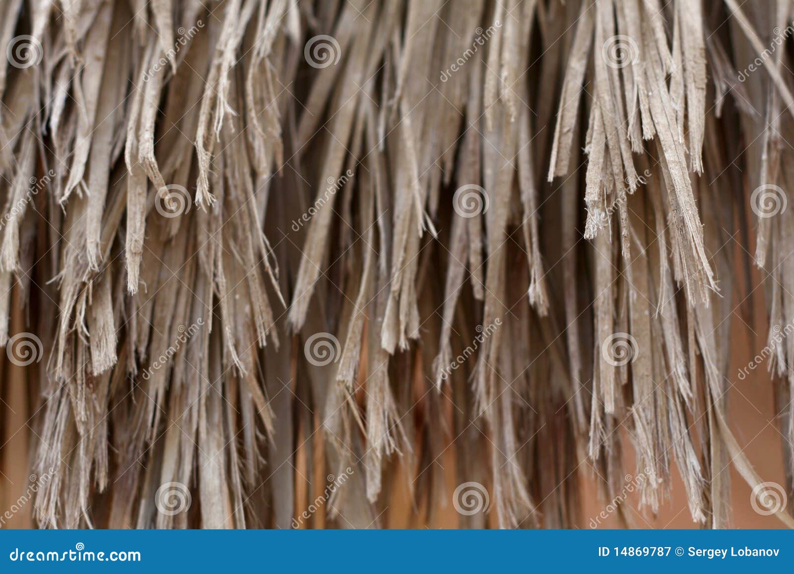 Straw roof stock image. Image of straw, roof, cane, tree - 14869787