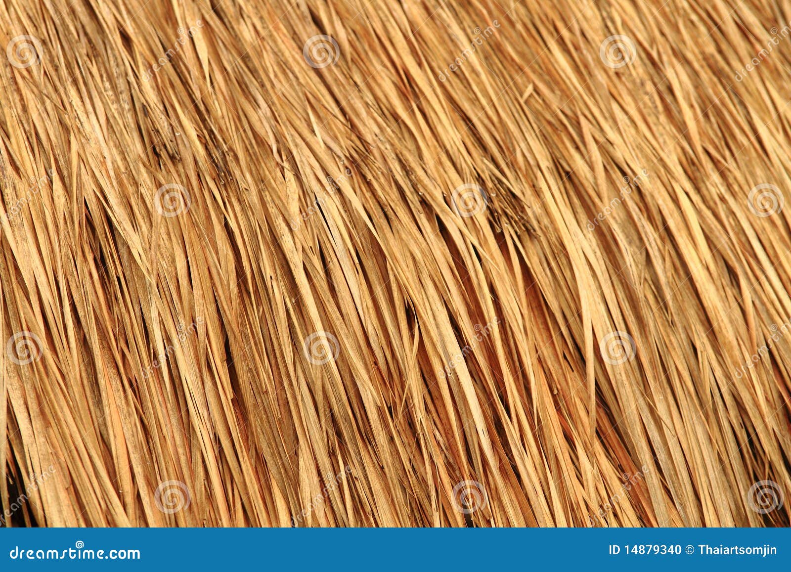 Straw roof stock photo. Image of straw, roof, texture - 14879340