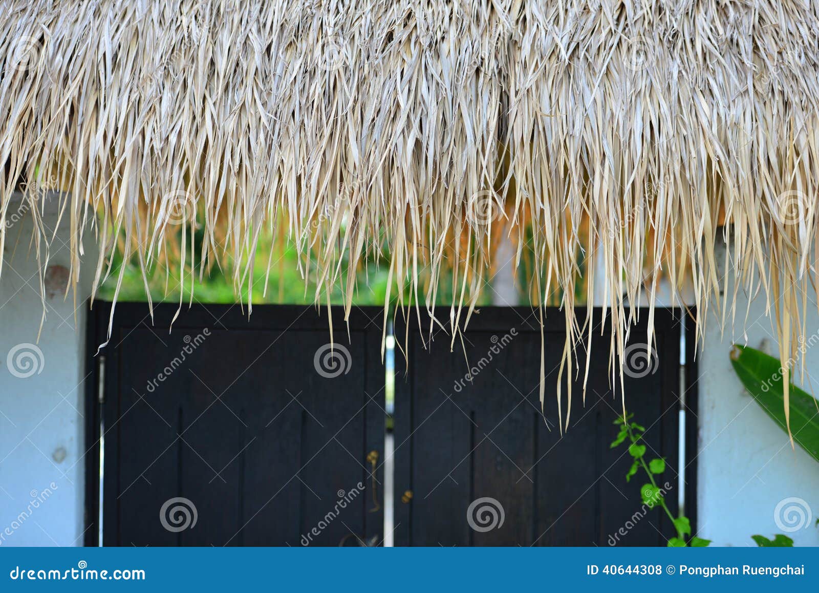 Straw Roof foto de archivo. Imagen de modelo, amarillento - 40644308