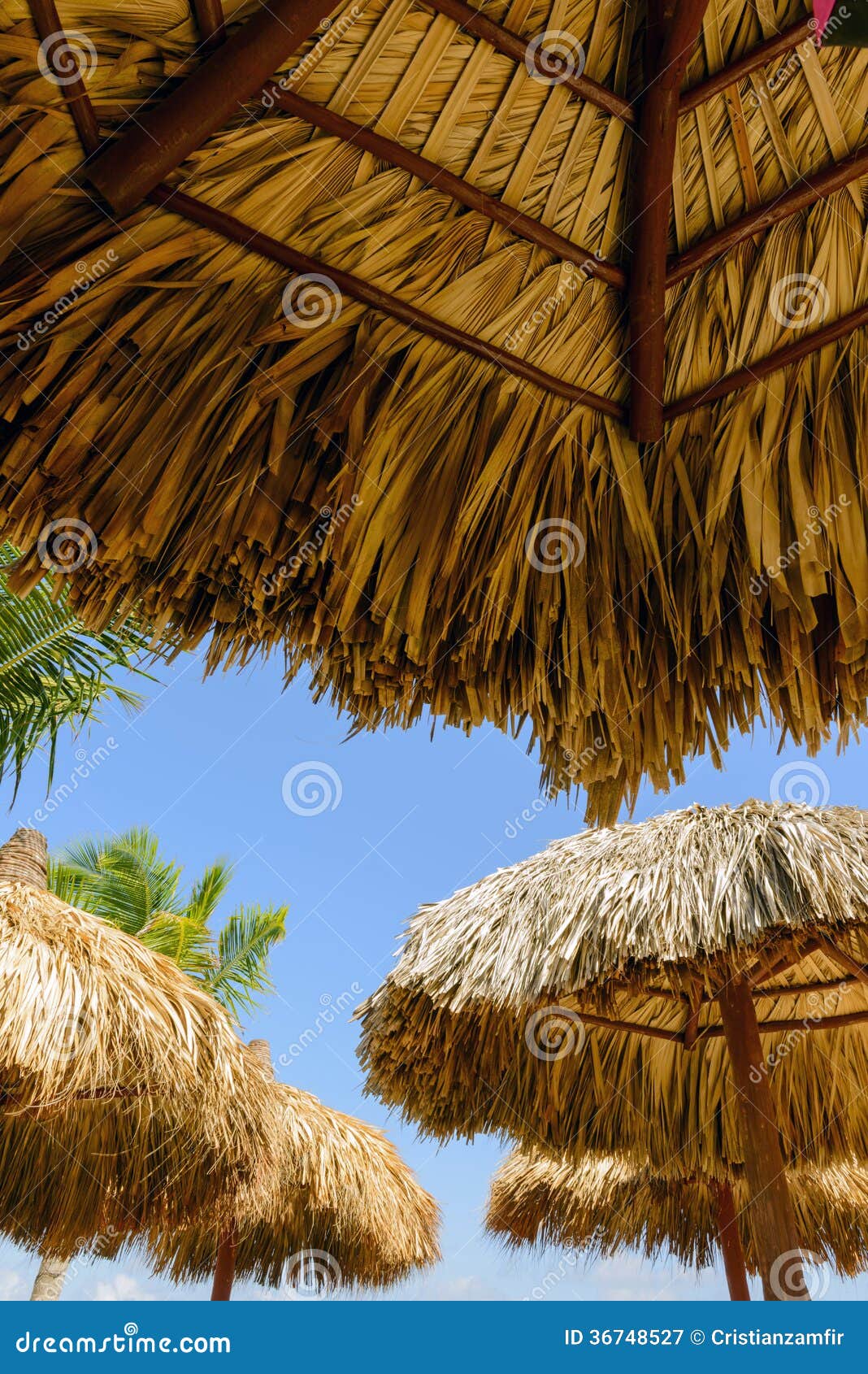 Straw Roof of Beach Umbrella Stock Image - Image of leaf, reed: 36748527