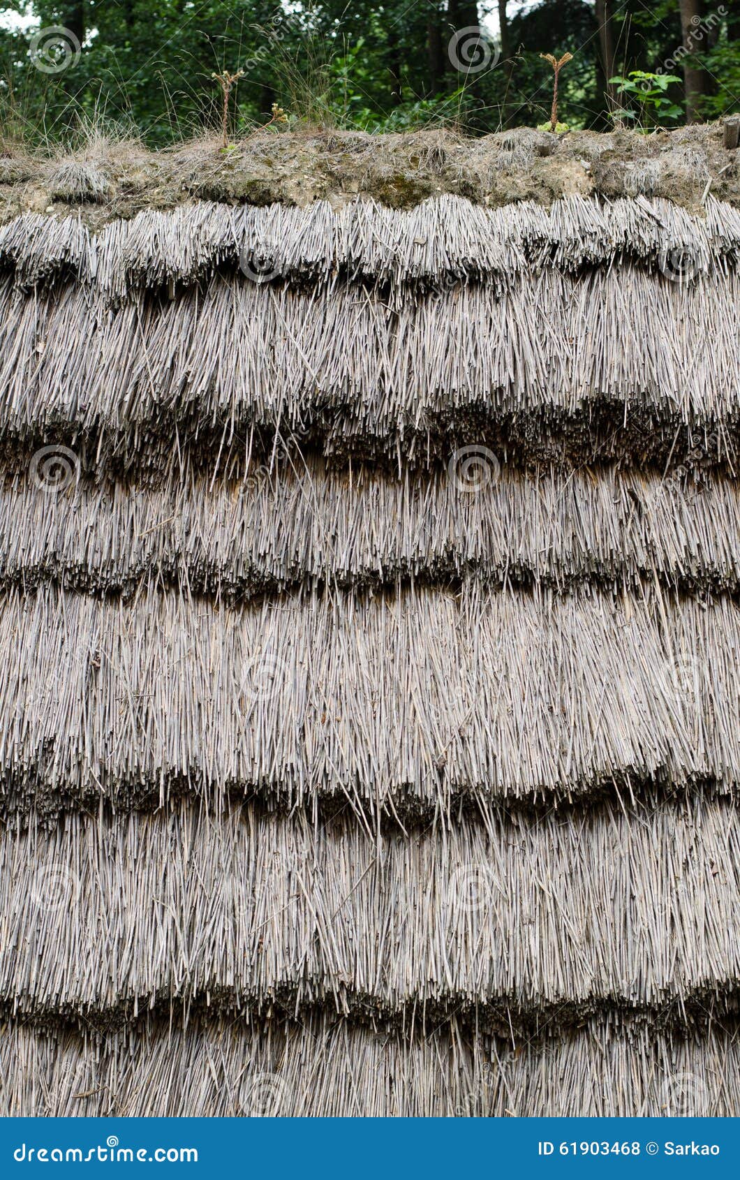 Straw roof detail stock photo. Image of historical, architecture - 61903468