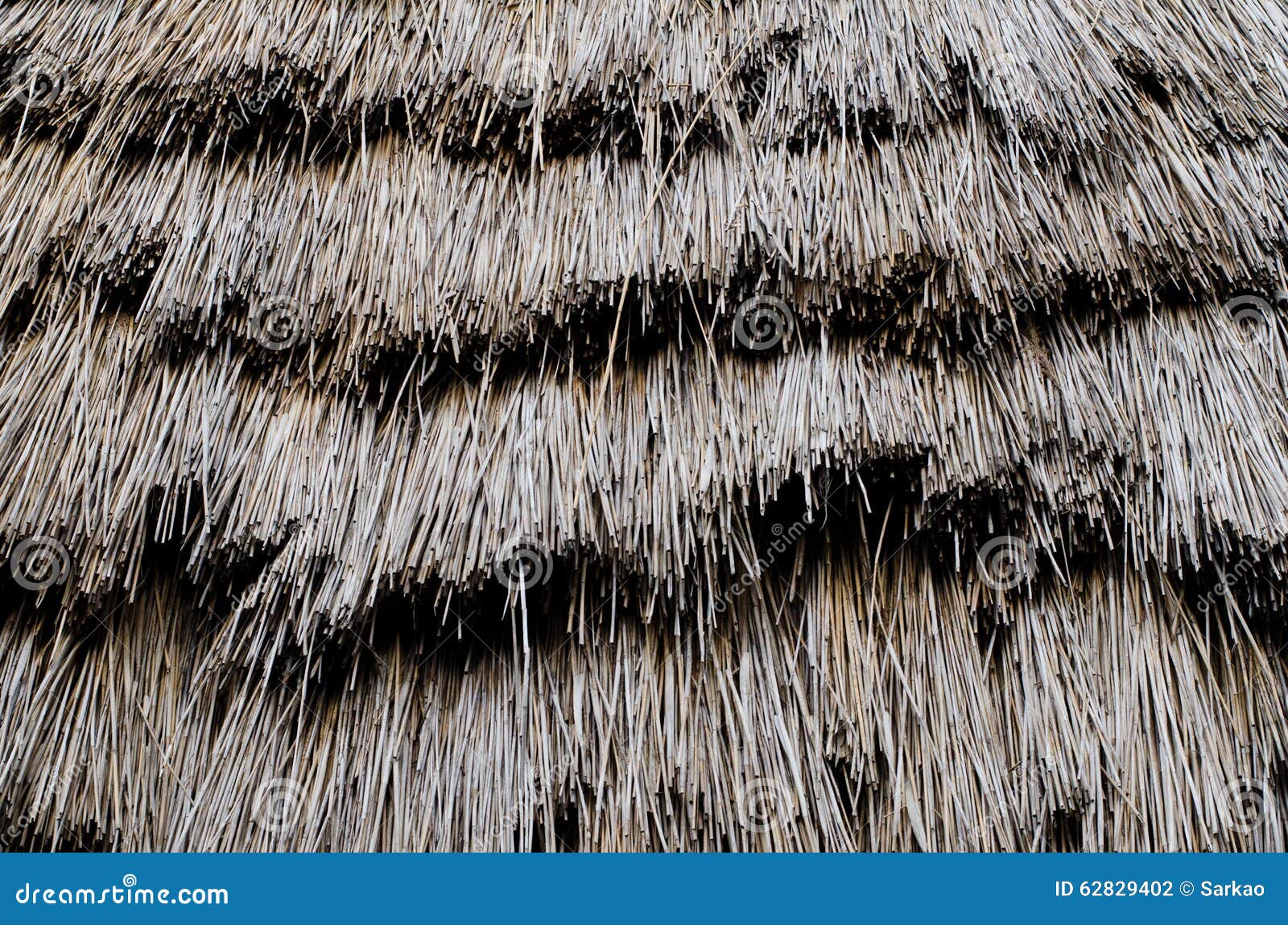 Straw roof detail stock photo. Image of texture, cabin - 62829402