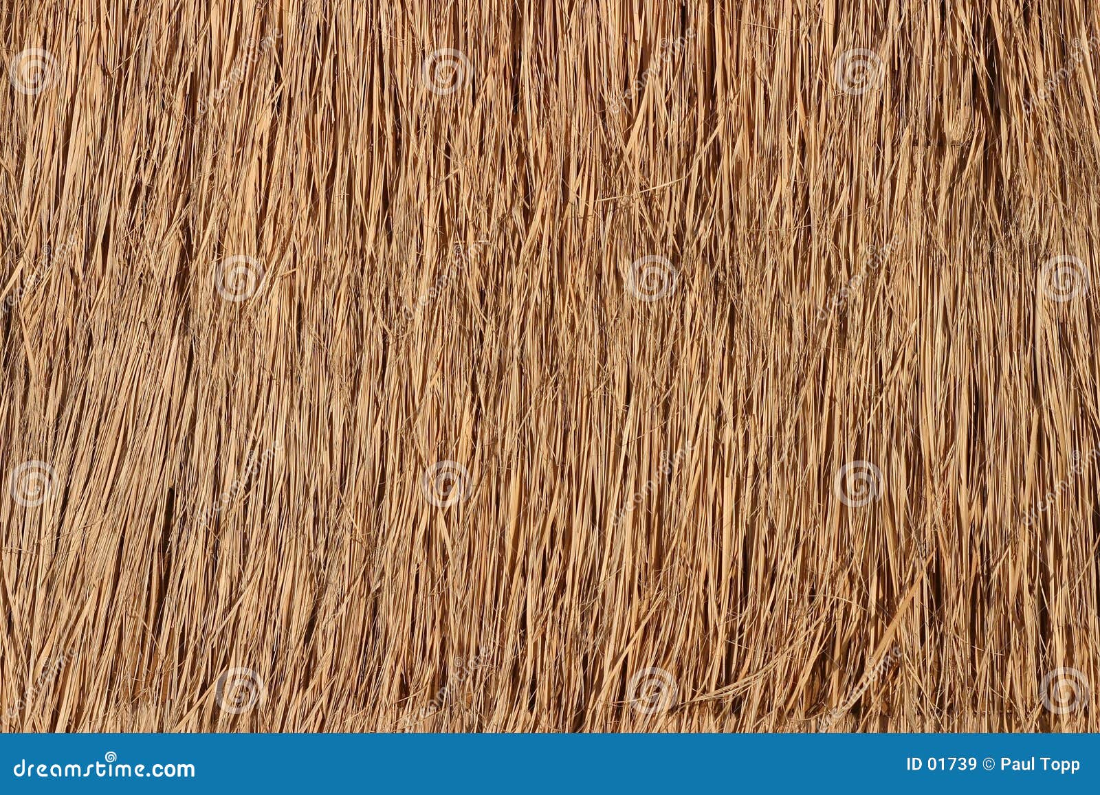 Straw Roof Texture for Background Stock Image - Image of straw, texture ...