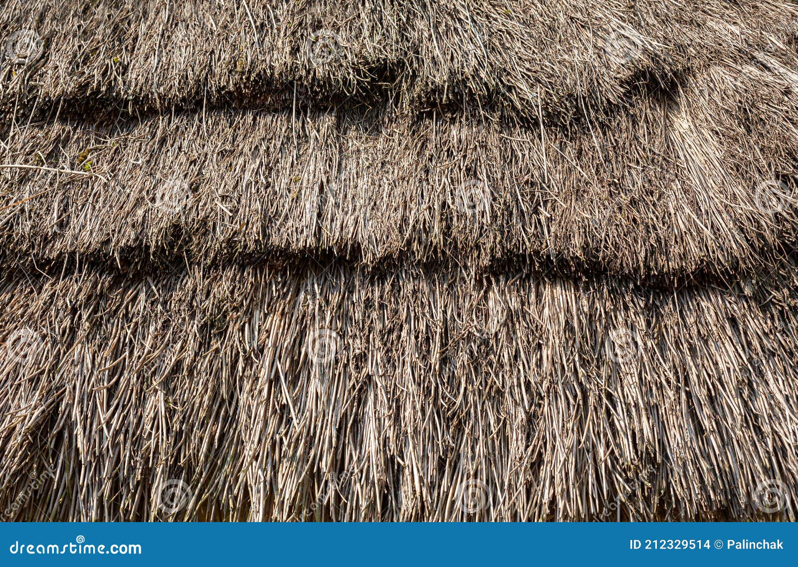 Straw Roof texture stock photo. Image of primitive, grass - 212329514