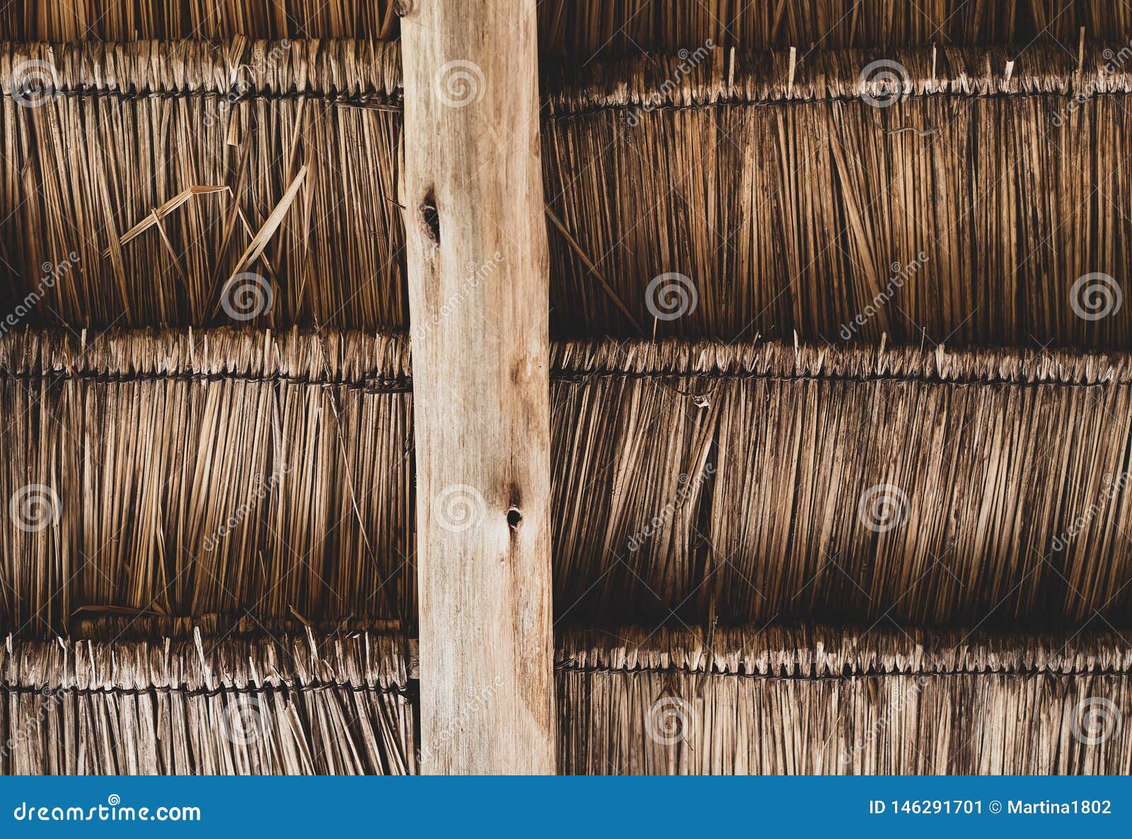 Straw roof texture stock image. Image of rough, floor - 146291701