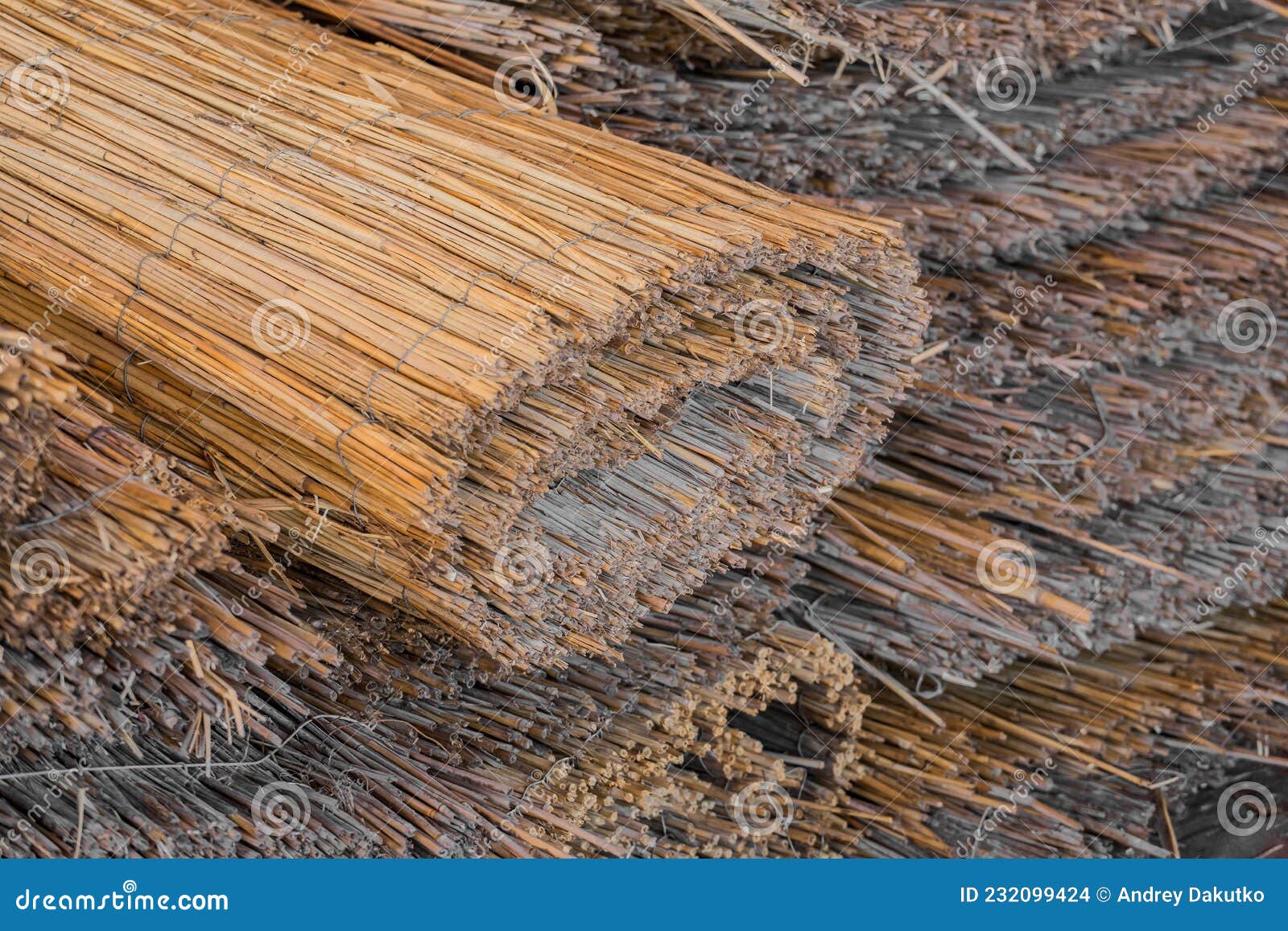 Straw Rope Dry Reed Natural Material is Stored in Rolls Stock Photo ...