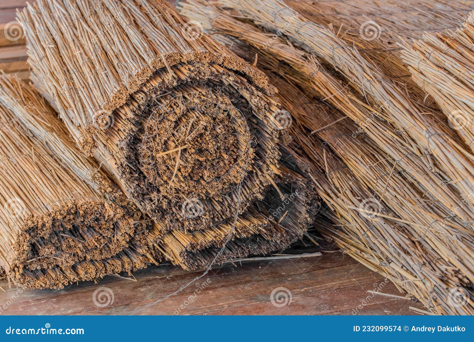 Straw Rope Dry Reed Natural Material is Stored in Rolls Stock Photo ...