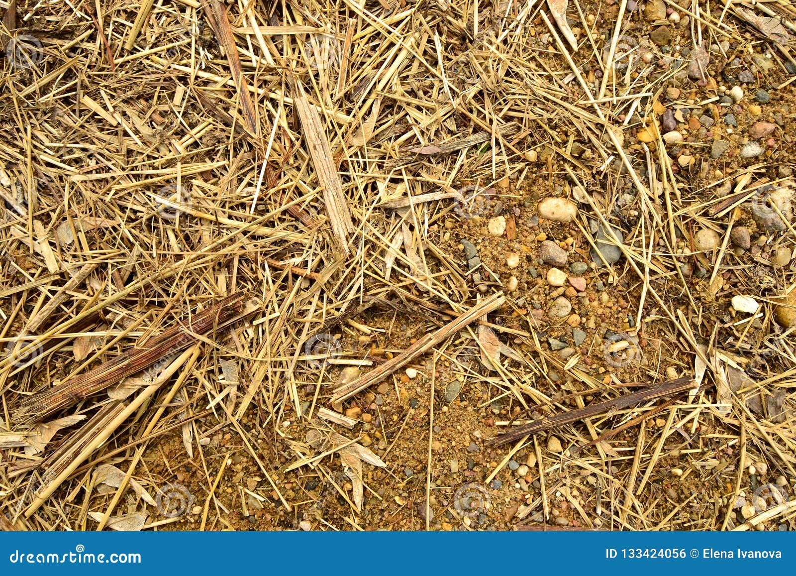 Straw, sand and stones stock photo. Image of sand, nature - 133424056