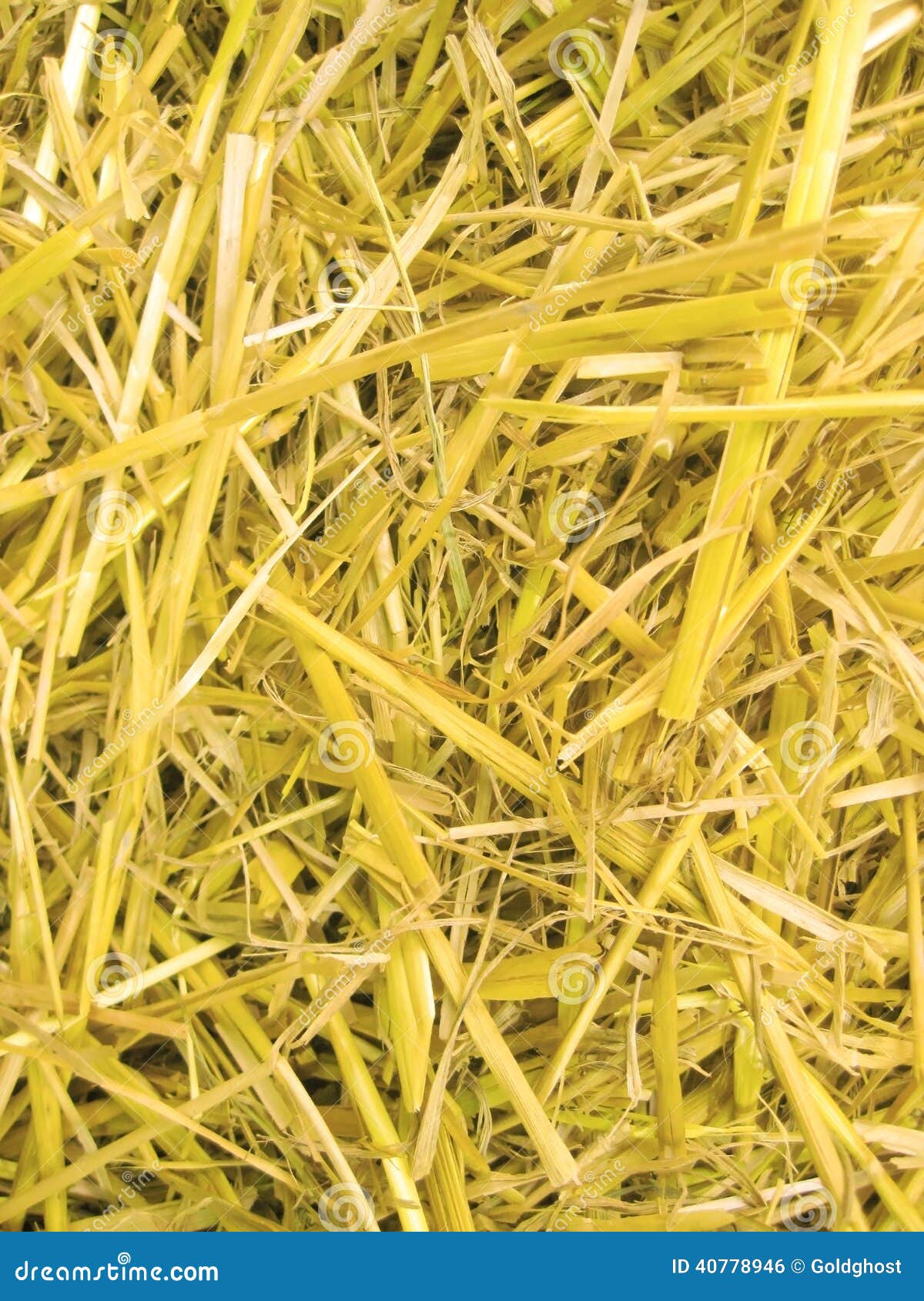 Straw scene stock photo. Image of design, couple, floral - 40778946