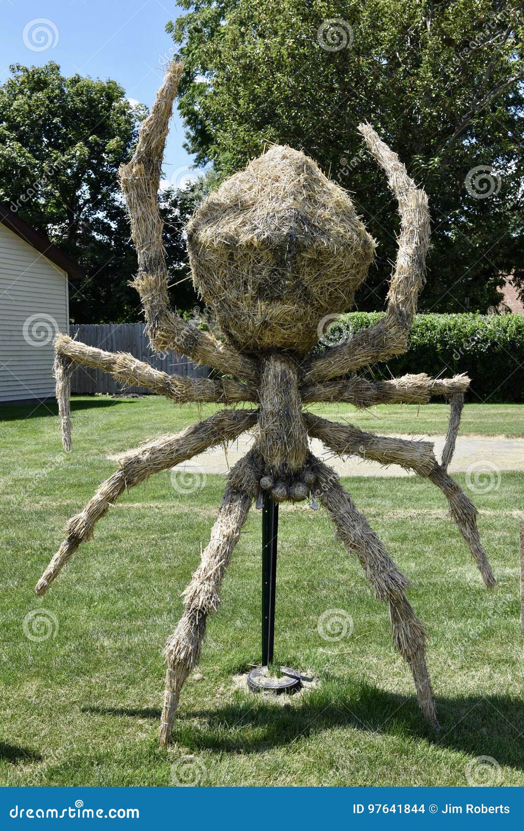 Straw Spider Sculpture imagen de archivo editorial. Imagen de montaje ...