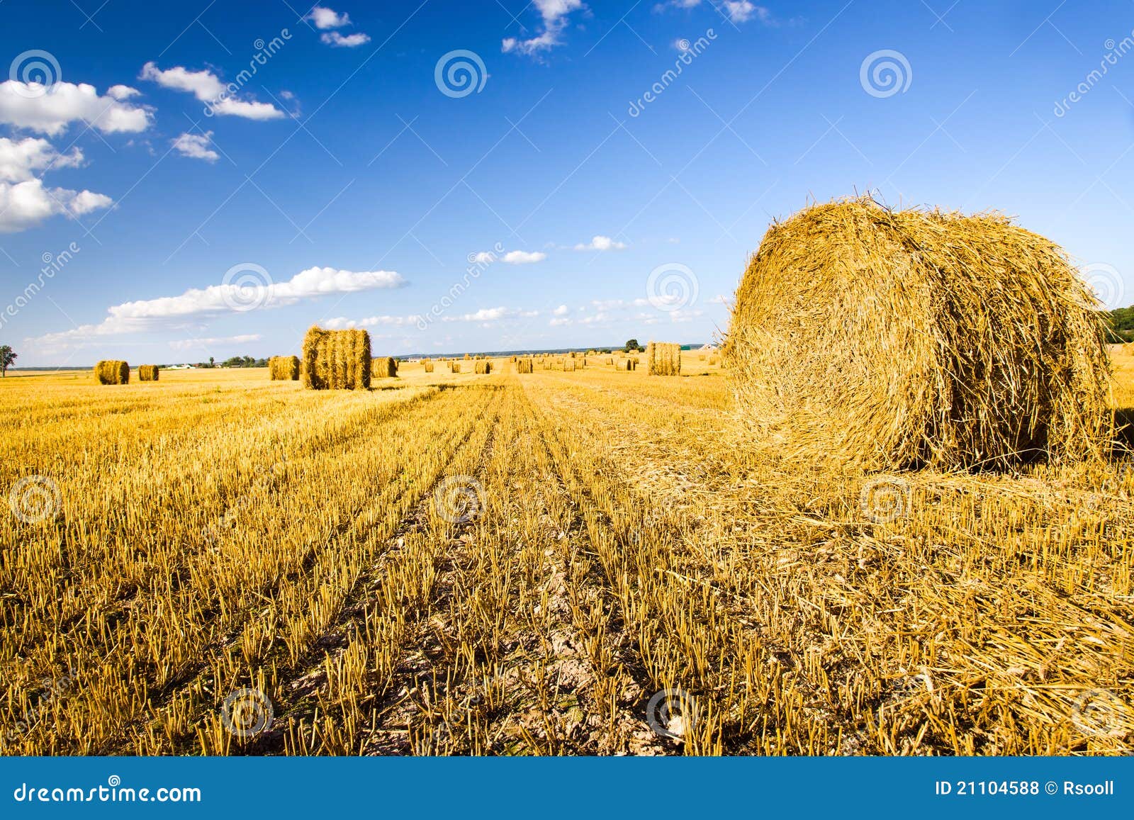 Straw stack stock photo. Image of landscape, golden, horizon - 21104588
