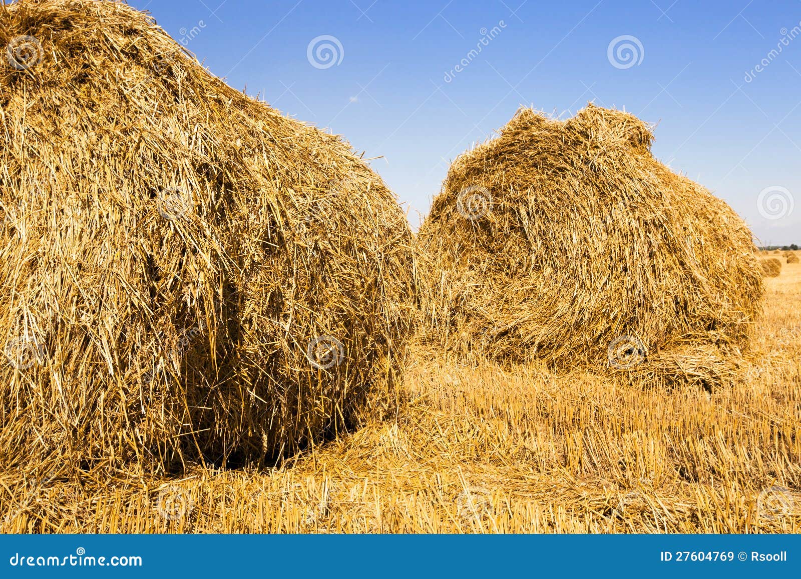 Straw stack stock image. Image of agricultural, closeup - 27604769