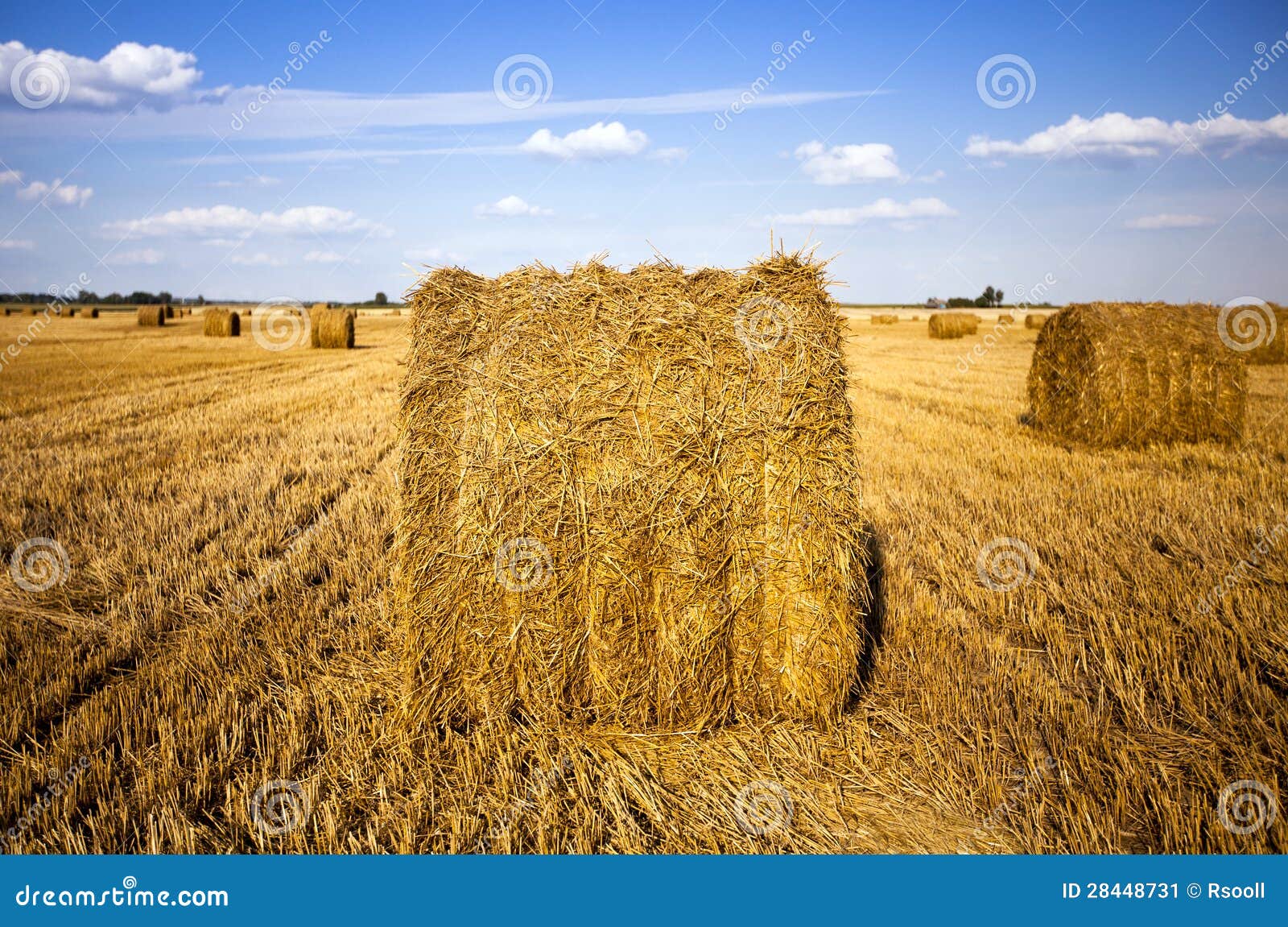 Straw stack stock image. Image of bales, autumn, cereal - 28448731