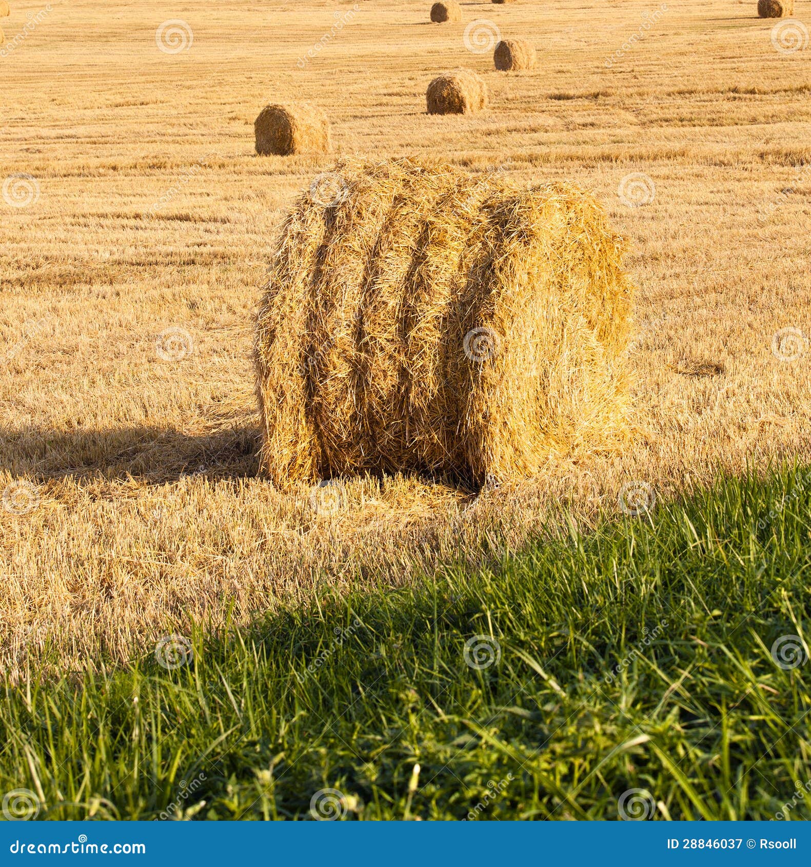 Straw stack stock image. Image of agriculture, grow, gold - 28846037