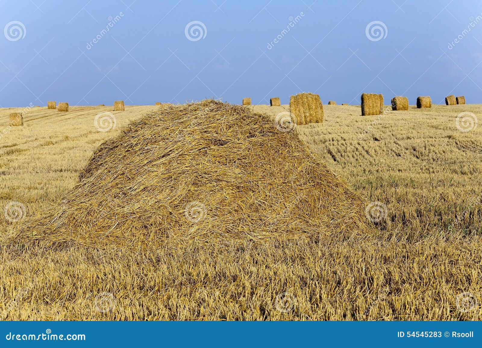 Straw stack stock image. Image of farm, harvest, majestic - 54545283
