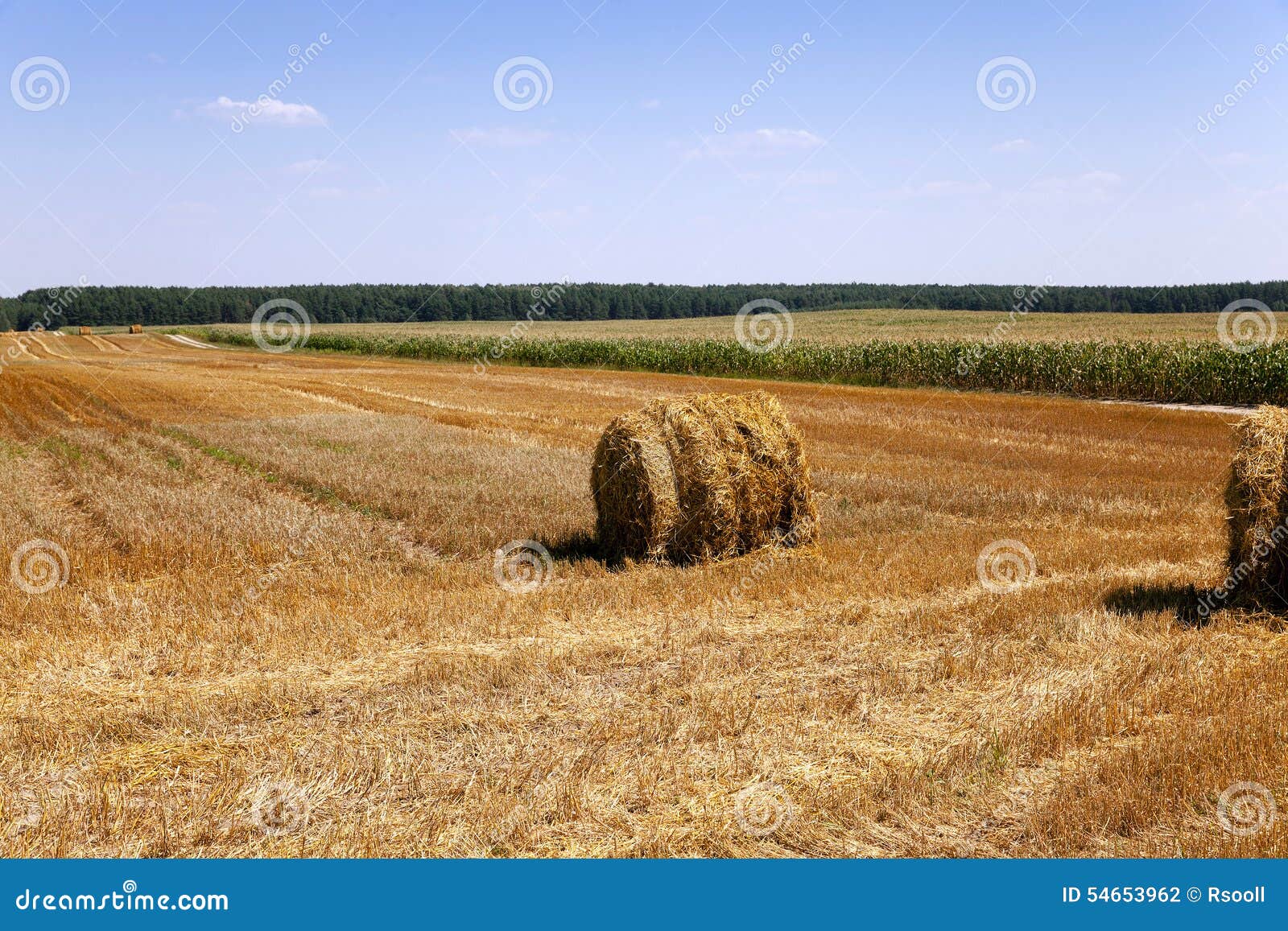 Straw stack stock photo. Image of plants, haystack, colors - 54653962