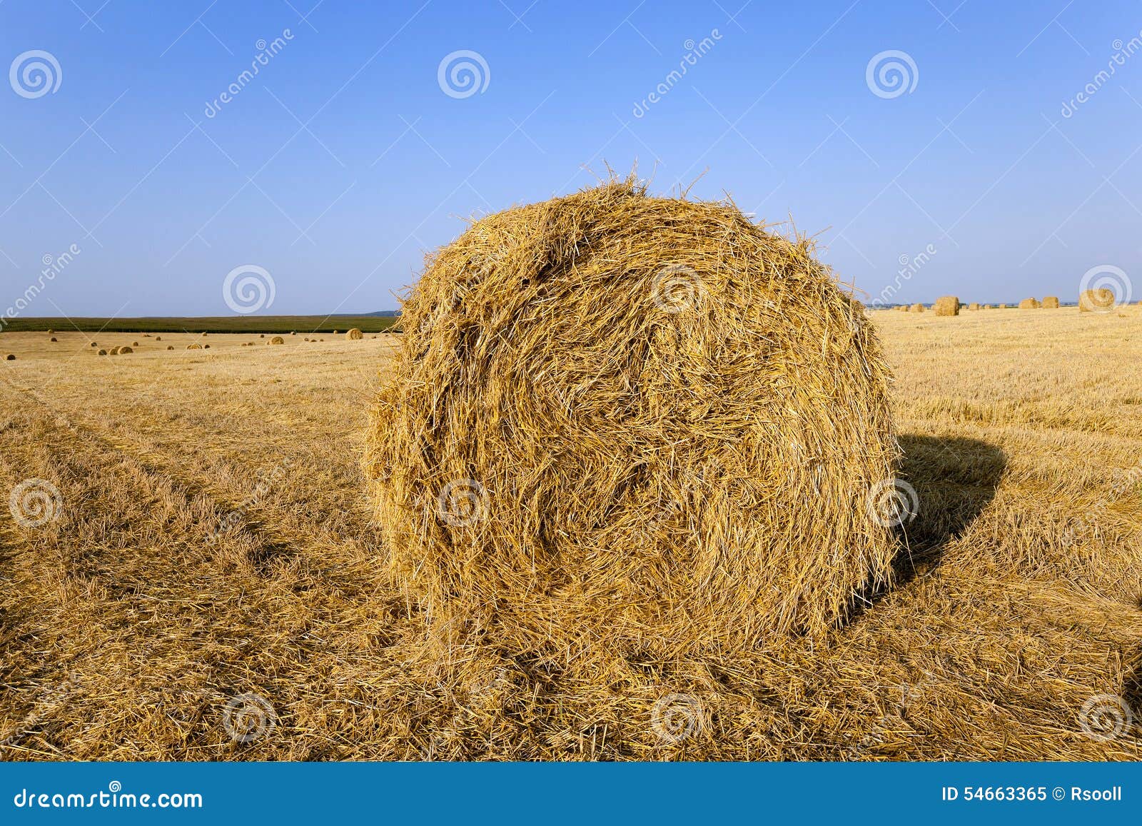 Straw stack stock image. Image of field, industrial, cutting - 54663365