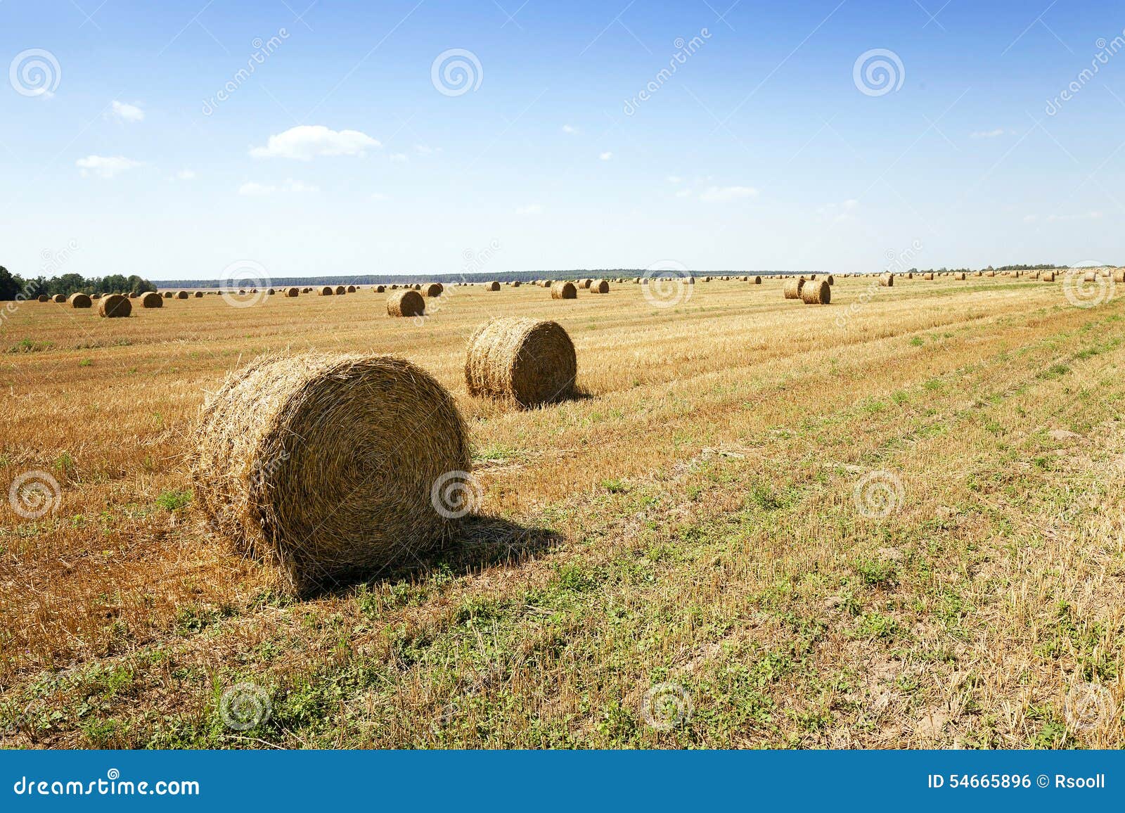 Straw stack stock photo. Image of industrial, crop, harvest - 54665896
