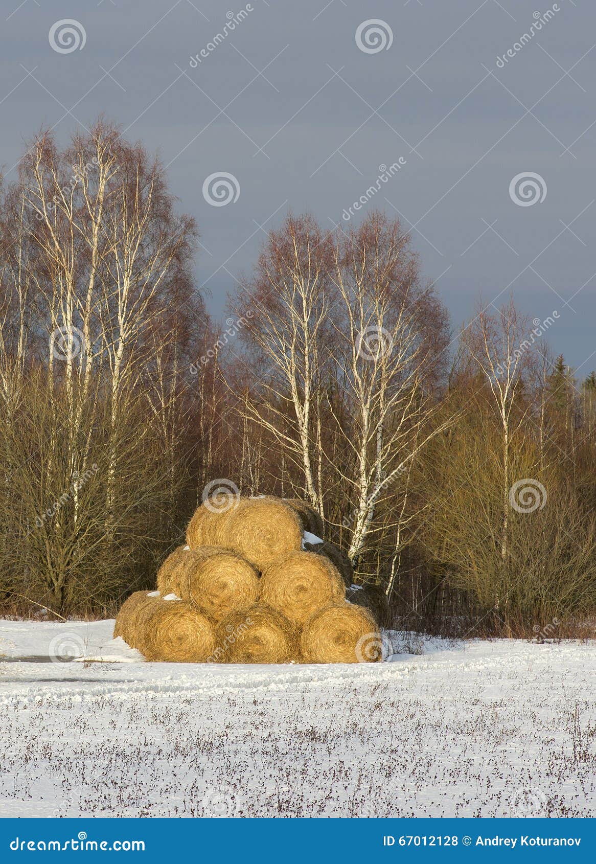 Straw stack stock photo. Image of harvest, outdoor, round - 67012128