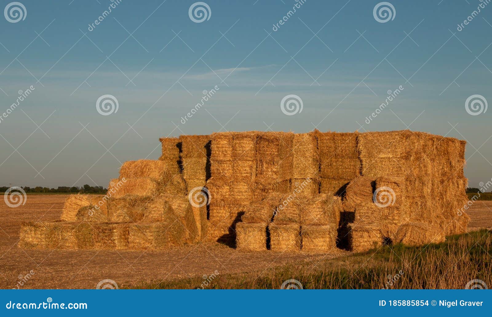 Straw Stack falling down stock photo. Image of shining - 185885854