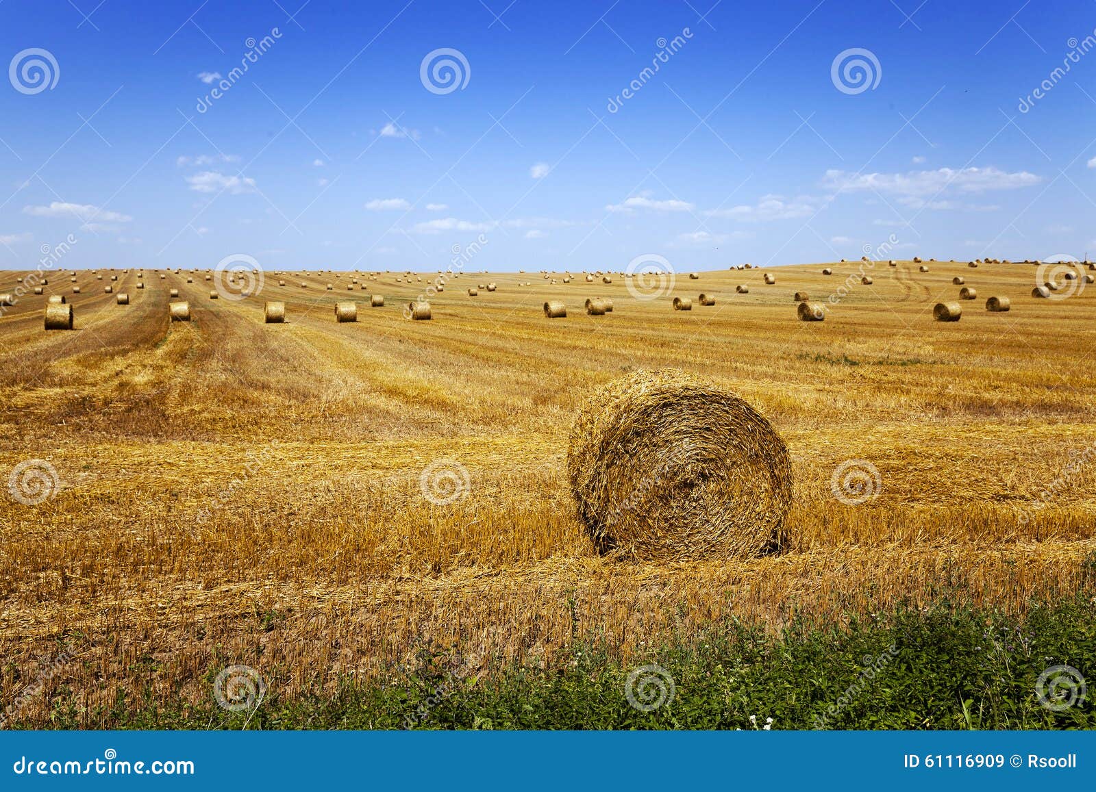 Straw stack . harvesting stock image. Image of circle - 61116909