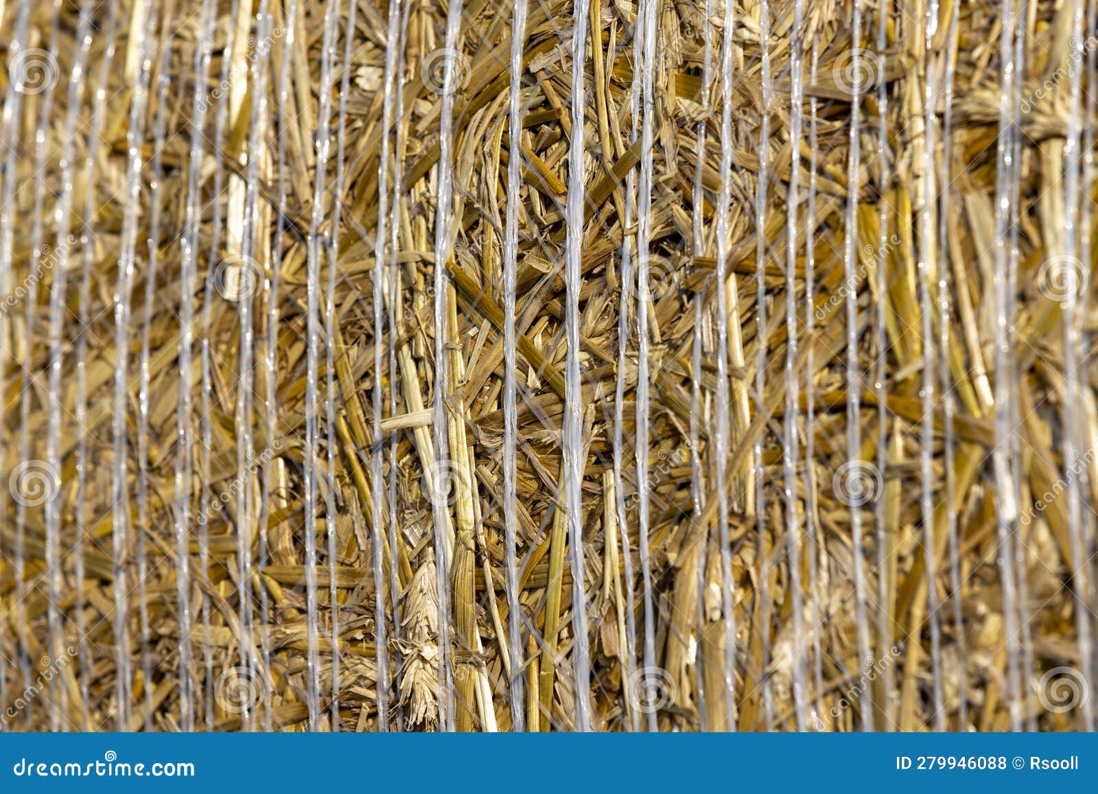 Straw Stack after Harvesting Grain in the Field Stock Photo - Image of ...