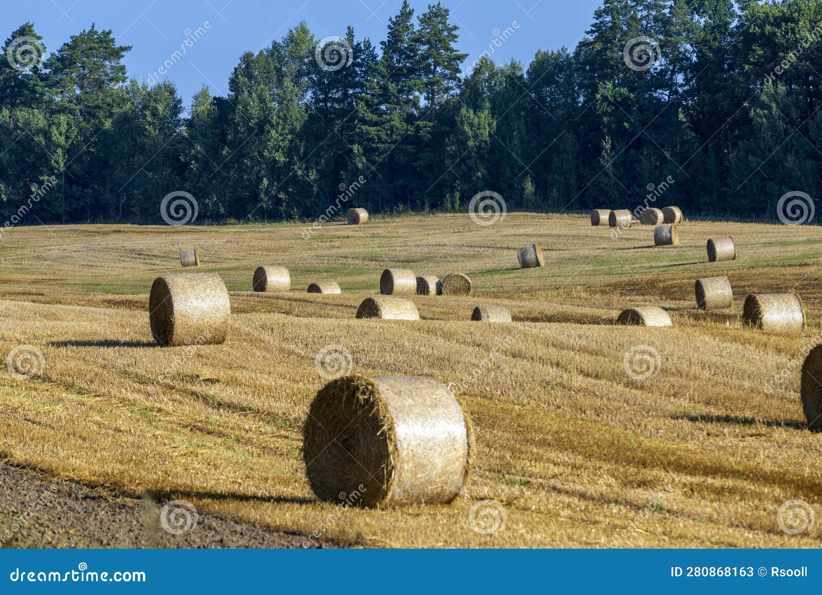 Straw Stack after Harvesting Grain in the Field Stock Image - Image of ...