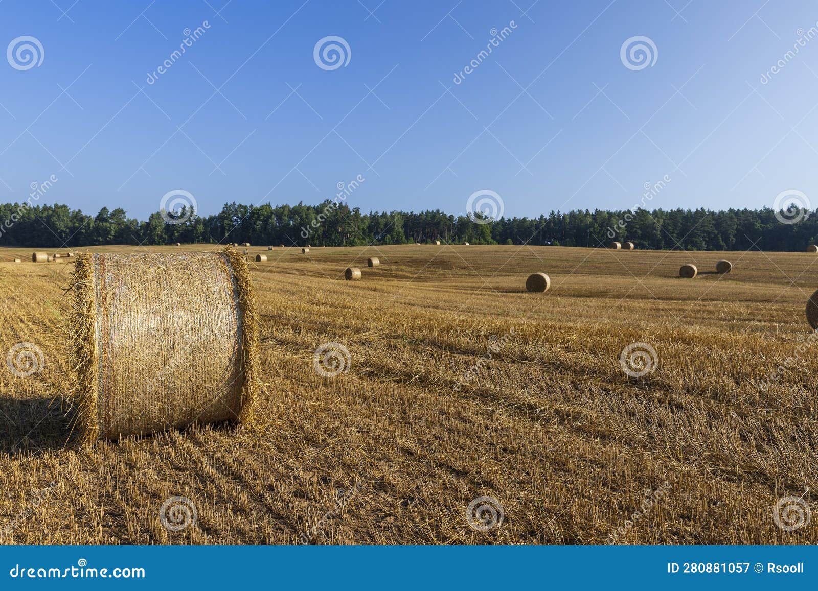 Straw Stack after Harvesting Grain in the Field Stock Image - Image of ...