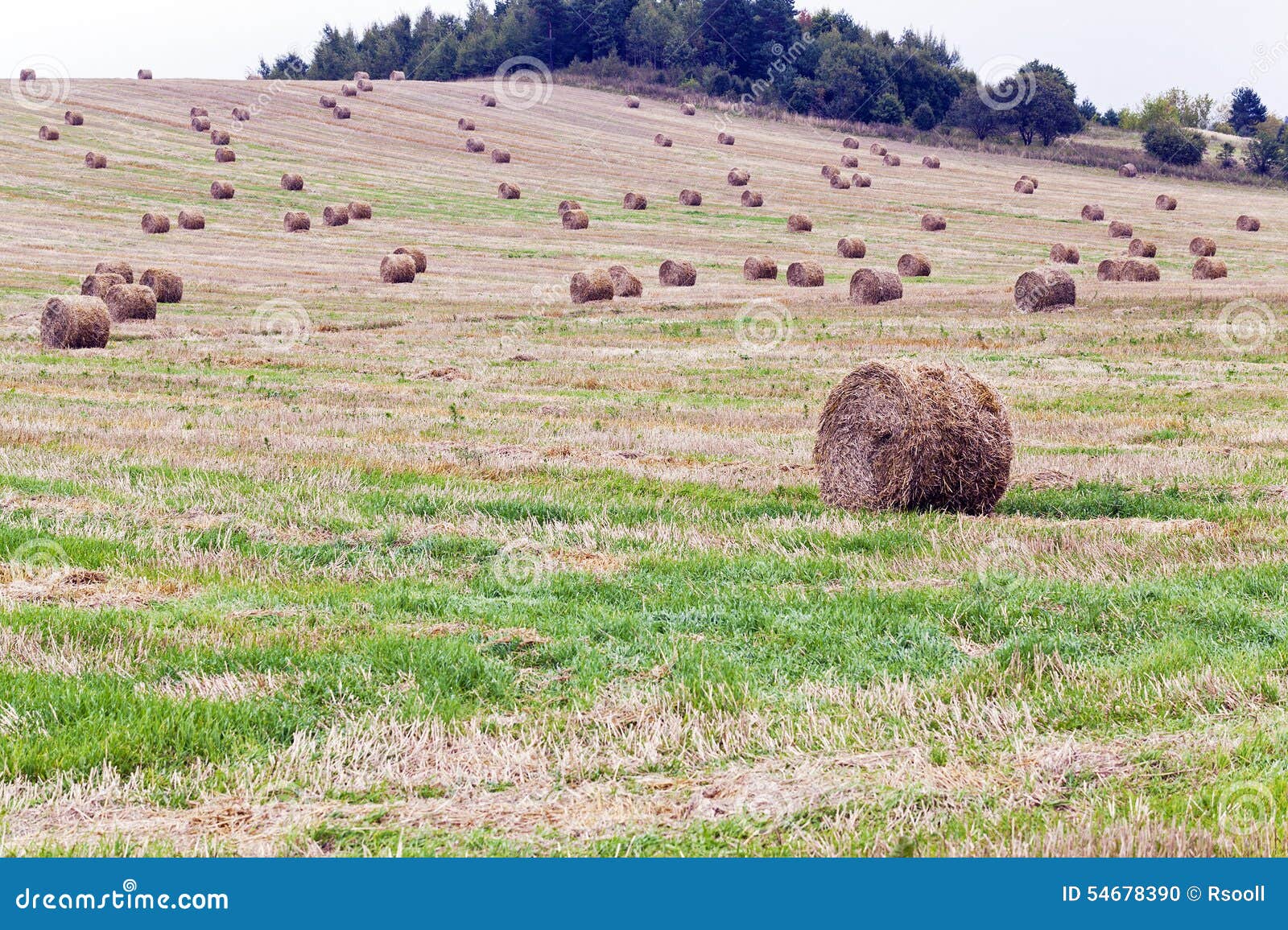 Straw stack stock photo. Image of outdoors, agriculture - 54678390