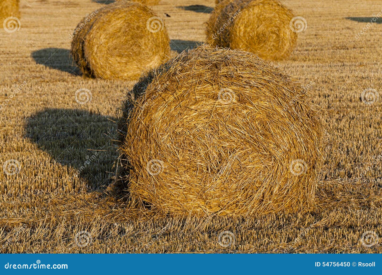 Straw stack stock photo. Image of architecture, haystack - 54756450