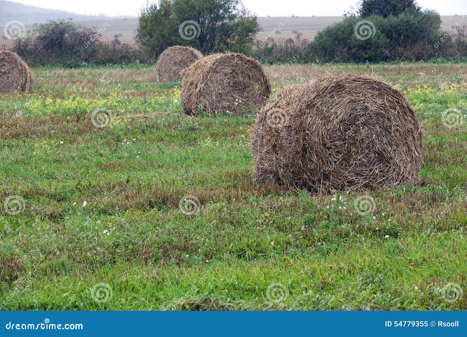 Straw stack stock image. Image of autumn, food, field - 54779355