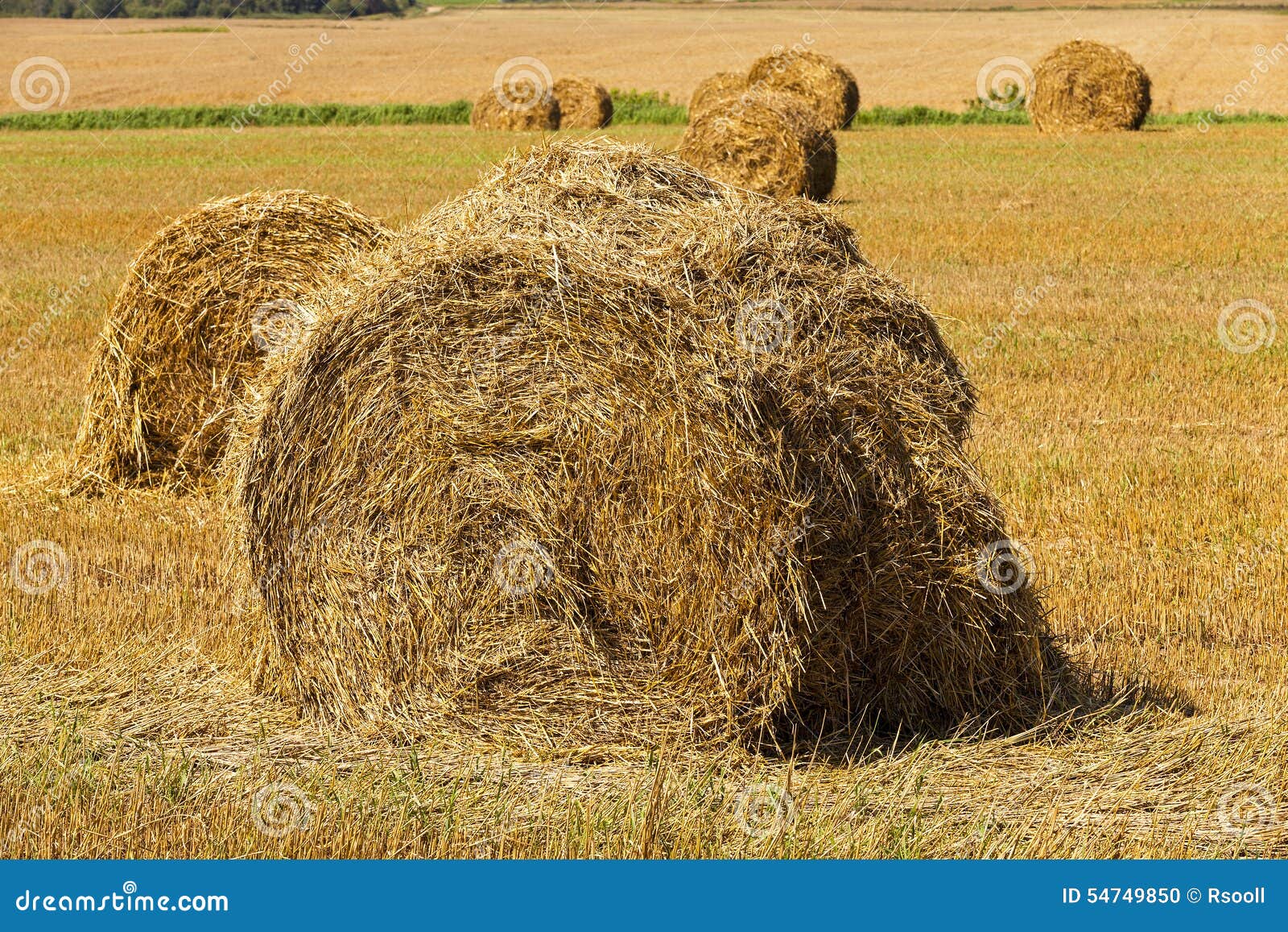 Straw stack stock photo. Image of field, nature, outdoors - 54749850