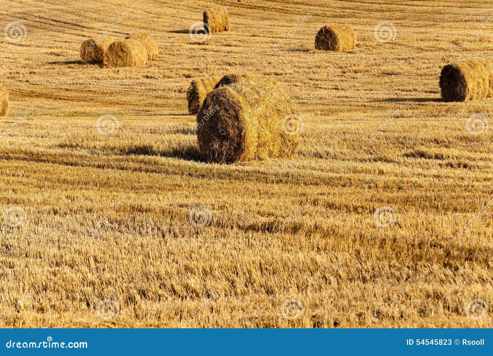 Straw stack stock image. Image of rolled, rural, crop - 54545823